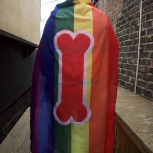 Pup Rainbow Pride Flag - Tailspace