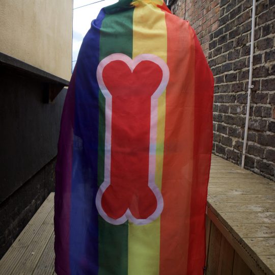 Pup Rainbow Pride Flag - Tailspace