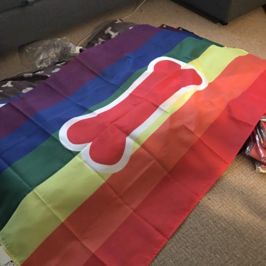Pup Rainbow Pride Flag - Tailspace