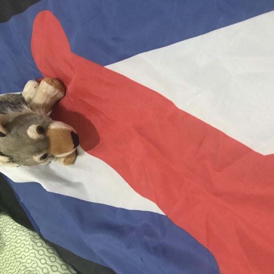 Pup Tradtional Pride Flag - Tailspace